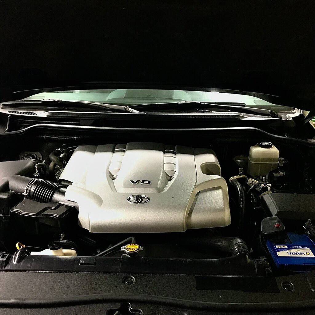 Detaylı oto bakımı Snake Vision, Moskova, foto