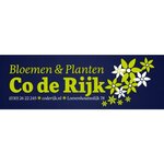 Co de Rijk Bloemen EN Planten (Loevenhoutsedijk No:78), çiçek teslimatı  Utrecht'ten