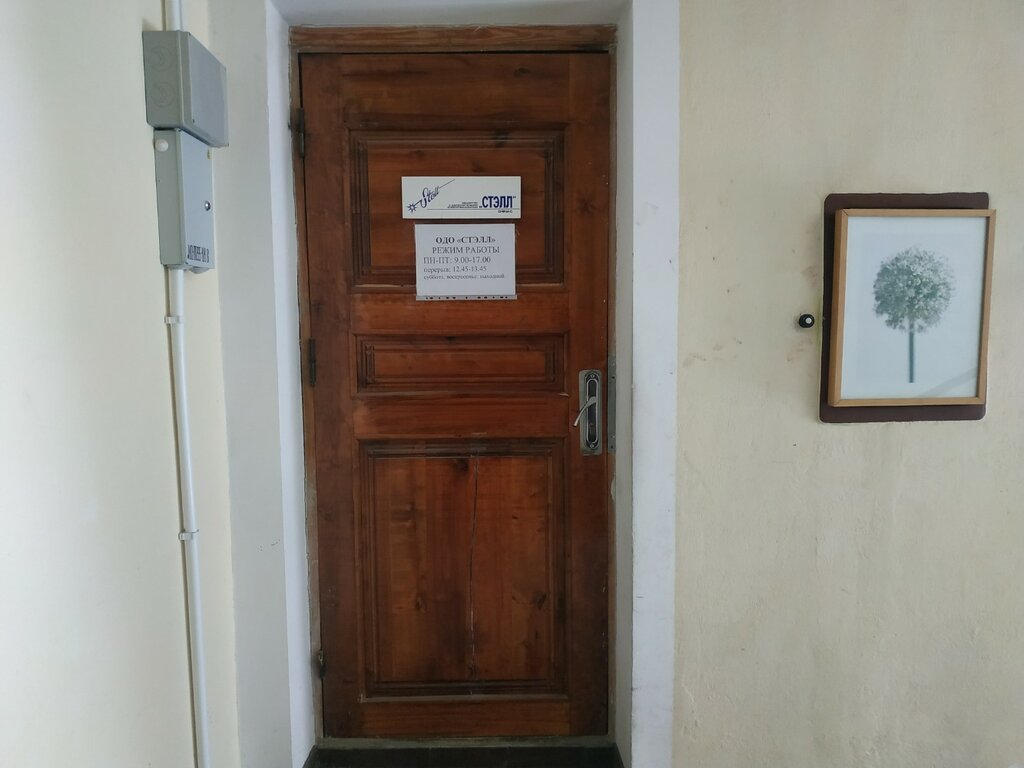 Elektronik cihaz ve parça firmaları Stell Odo, Vitebsk, foto