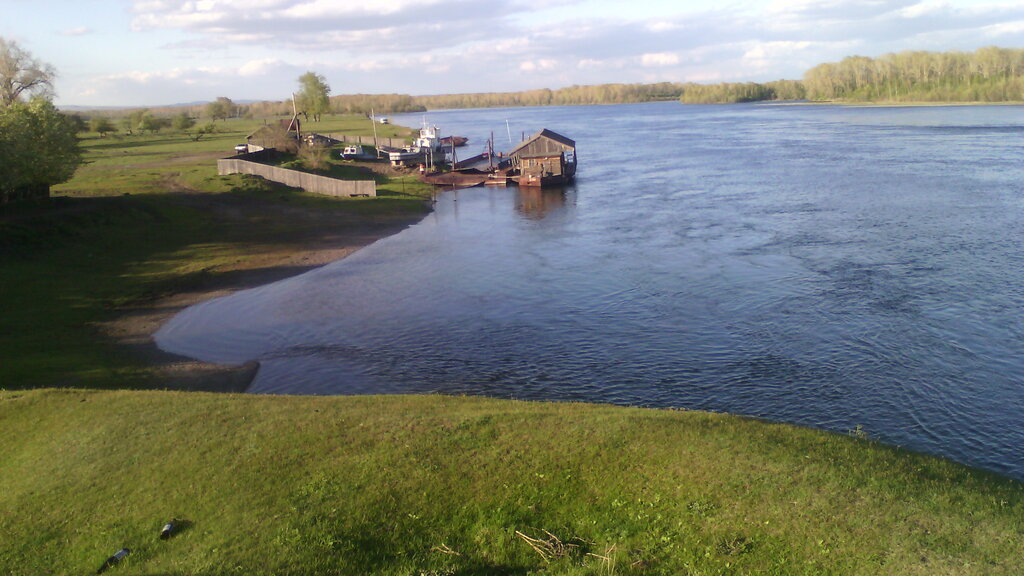 Tarım firmaları Biryusa Ltd, Hakasya, foto