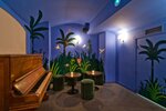 Jangal (Opera Avenue No:5), gece kulüpleri  Paris'ten