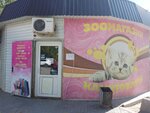 Ксения (Zhilaya Street No:15А), petshop  Astrahan'dan