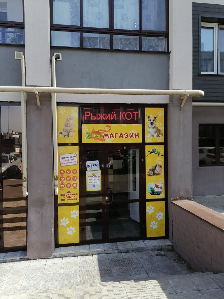 Petshop Рыжий кот, Kirov, foto