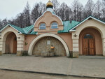 Купель (Voronezh Region, Novousmanskiy rayon, selo Babyakovo, Zerkalnaya ulitsa), şapel, haç anıtı  Voronejskaya oblastından