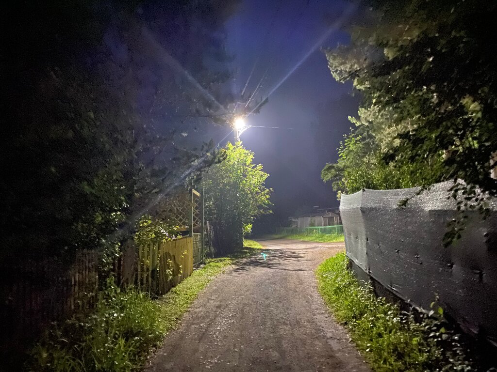 Bahçecilik dernekleri ve kuruluşları Сно Огонек, Novosibirskaya oblastı, foto