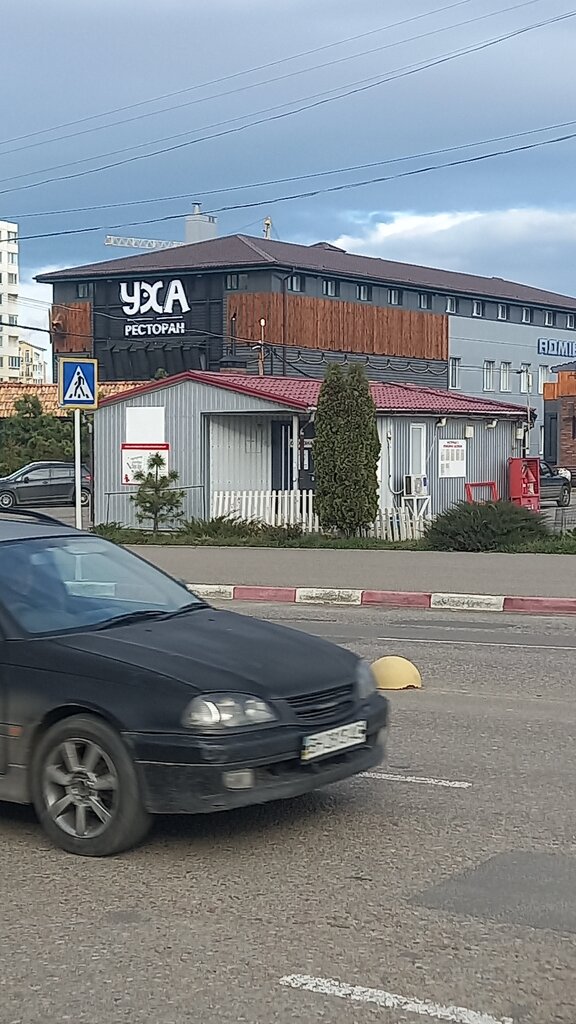 Gıda pazarı Rynok Pochatok, Odesa, foto