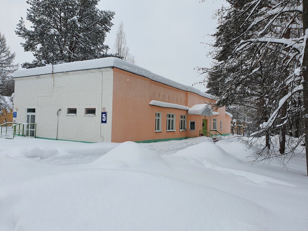 Tatil altyapısı Загородный оздоровительный центр Чайка, корпус № 5, Permski krayı, foto