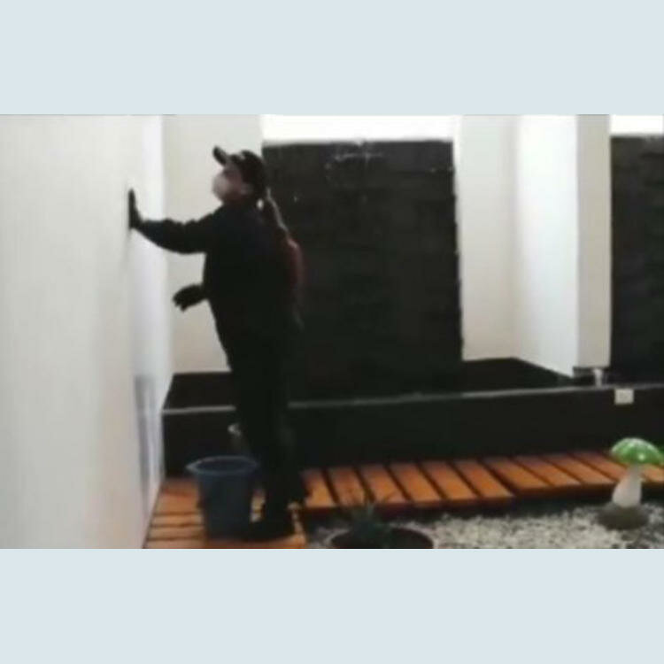 Temizlik şirketleri Colinteg, Bucaramanga, foto