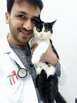 PrimeVet Başakşehir Veteriner Kliniği (Kayabaşı Mah., Veysel Karani Cad., No:7/1A, Başakşehir, İstanbul), veteriner klinikleri  İstanbul'dan