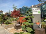 Kummer Gartenbau - Pflanzenoase (Bern, Thun, Gibliz, 391), peyzaj tasarımı  Bern'den