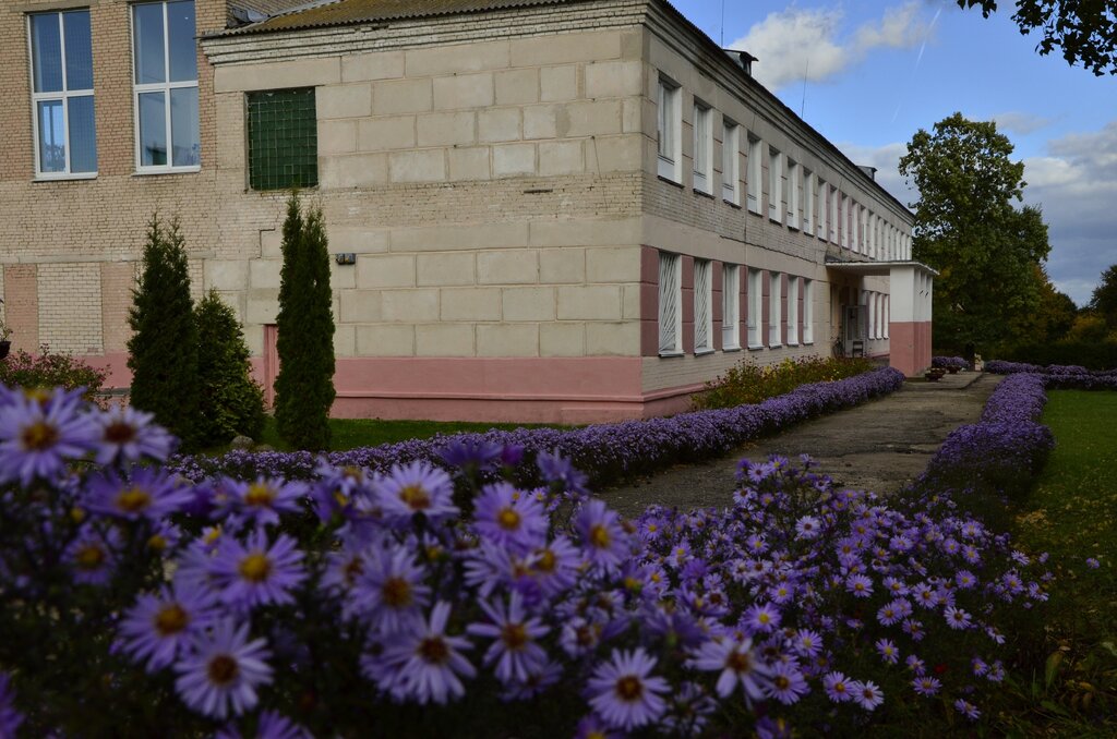 Anaokulları Yasli-Sad-Srednyaya shkola Krapivenskaya, Vitebskaya oblastı, foto