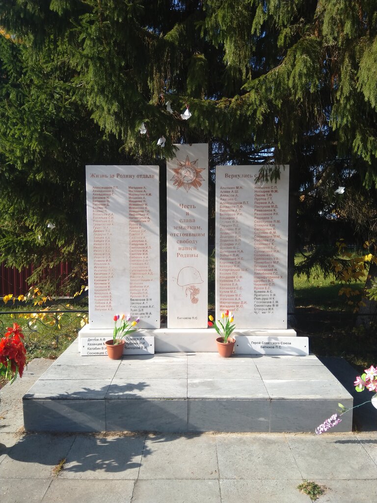 Anıt, heykel Участникам Великой Отечественной войны, Tümen (Tiumenskaya) oblastı, foto