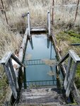 Spring, stream (Tver Region, Rzhevskiy munitsipalny okrug, selskoye poseleniye Uspenskoye), pınar, çay  Tverskaya oblastından