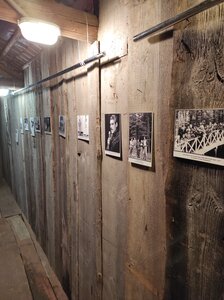 House-Museum of Sergey Dovlatov (Pskov Region, gorodskoye poseleniye Pushkinogorye, derevnya Berezino), müzeler ve sanat galerileri  Pskovskaya oblastından
