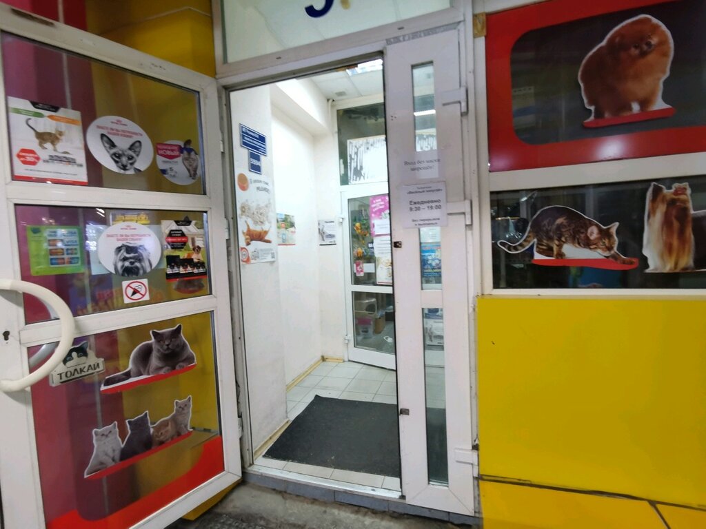 Petshop Vesely popugay, Habarovsk, foto