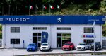 Autodoria - Showroom Peugeot e Suzuki (Liguria, Provincia di Savona, Regione Miranda, 54), motosiklet satışı  Ligurya'dan