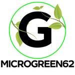 Микрозелень microgreen62 (Shabulina Drive No:1), gıda hammaddesi  Riazan'dan