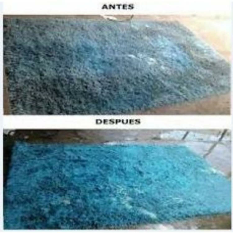 Temizlik şirketleri Lava Expertos Laureles, Medellin, foto