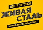 Живая Сталь (ulitsa imeni Chelyuskintsev No:59), ev hizmetleri  Saratov'dan