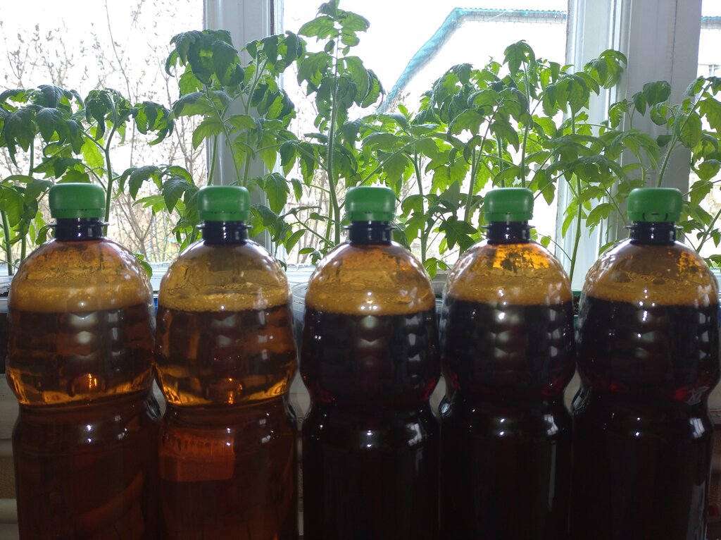 Bira dükkanı Варница, Pskovskaya oblastı, foto