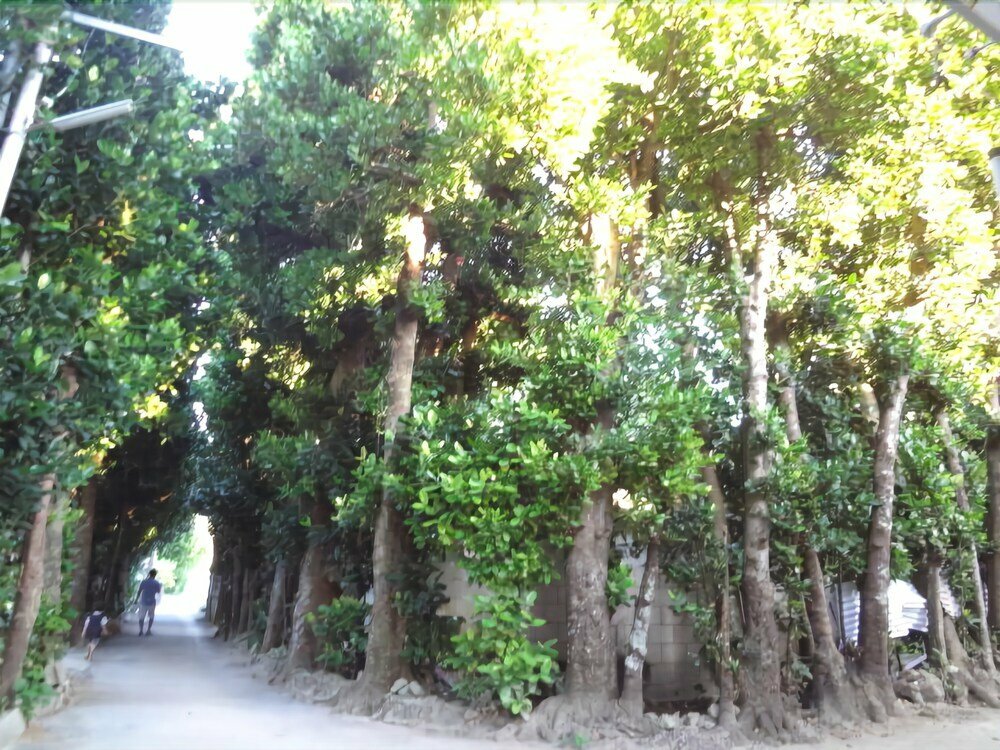 Otel Guesthouse Sunset Hill Bise - Hostel, , foto