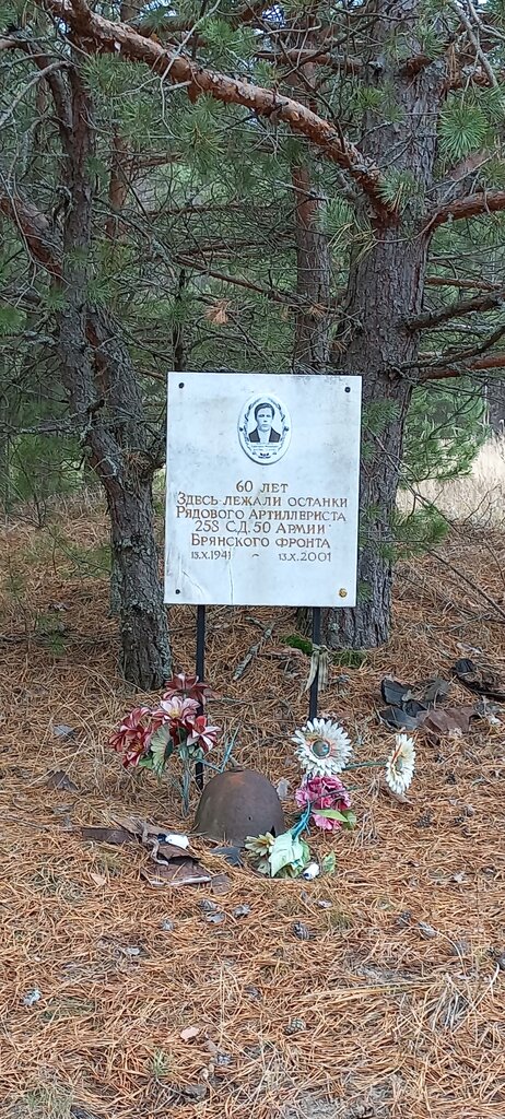 Anıt, heykel Бойцу, павшему в Великой Отечественной войне, Kalujskaya oblastı, foto