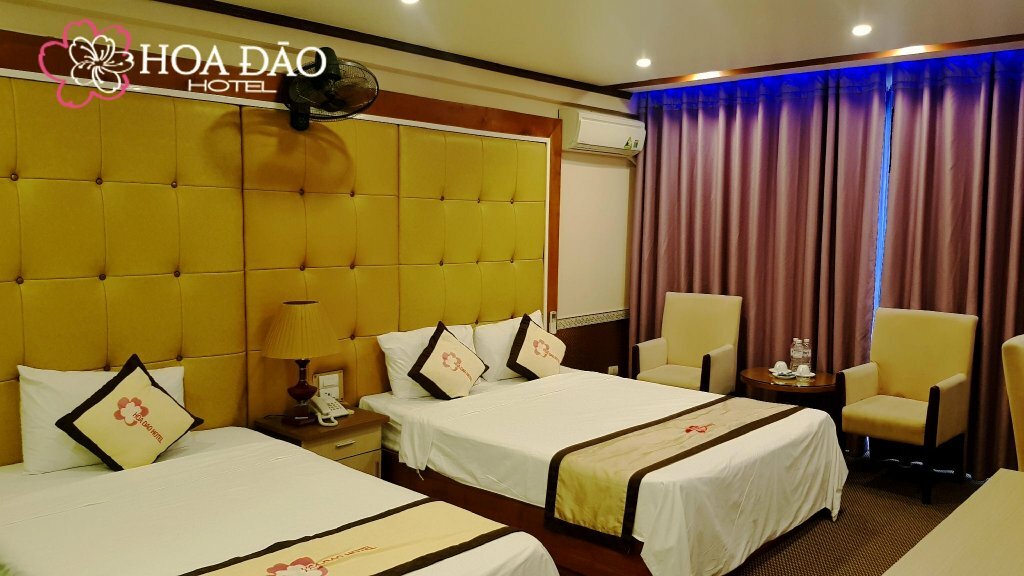 Otel Hoa Dao Hotel, , foto