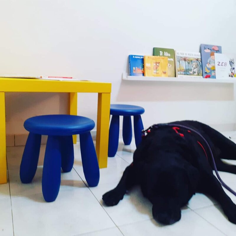 Psikologlar Dottoressa Irene Scamporrino Psicologa, Grosseto, foto