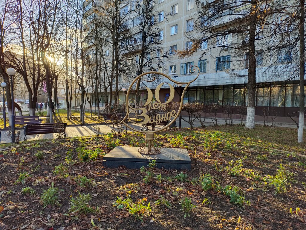 Anıt, heykel 50 лет городу Видное, Vidnoye, foto