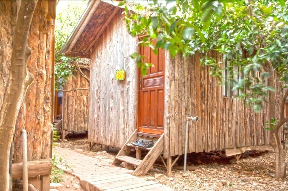 Otel Bayrams Tree Houses, Kumluca, foto