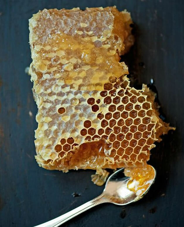 Bal ve arıcılık firmaları Soyuz pasechnikov, Saint‑Petersburg, foto