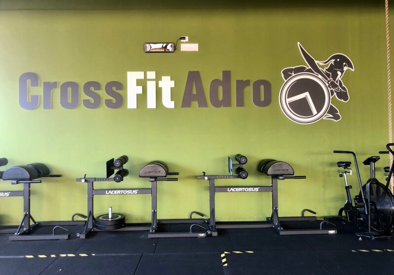 Fitness kulüpleri Palestra Fenix Gym - Adro, Lombardiya, foto