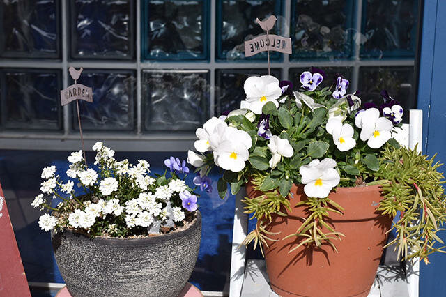 Güzellik salonu 清水美容院, , foto