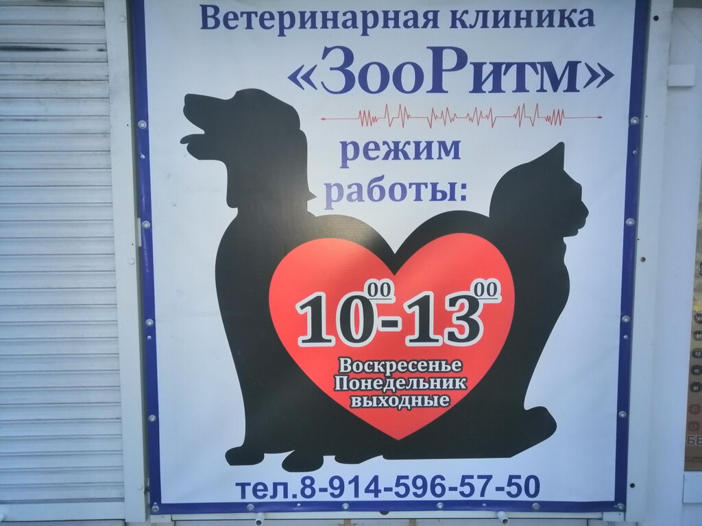 Veteriner klinikleri ЗооРитм, Tynda, foto