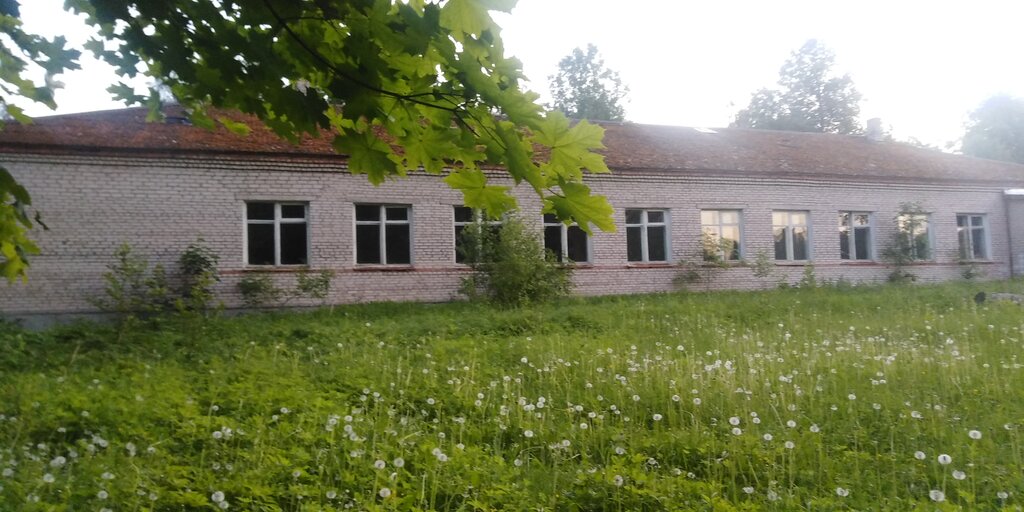 Ortaokul Polyanskaya Osnovnaya Obshcheobrazovatelnaya shkola, Pskovskaya oblastı, foto