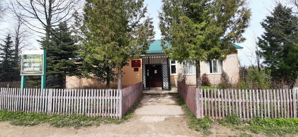 Orman işleri, orman koruma Pereslavskoye lesnichestvo Gku YaO, Pereslavl‑Zalesski, foto