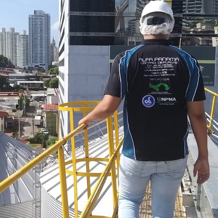 Sanayi ekipmanları firmaları Alfa Panamá Control De Plagas, Dünya, foto
