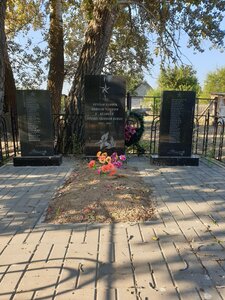Братская могила павших воинов в Великой Отечественной войне 1941-1945г. (Volgograd Region, Sredneakhtubinskiy rayon, Akhtubinskoye selskoye poseleniye, posyolok Kolkhoznaya Akhtuba, Shkolnaya ulitsa), anıt, heykel  Volgogradskaya oblastından