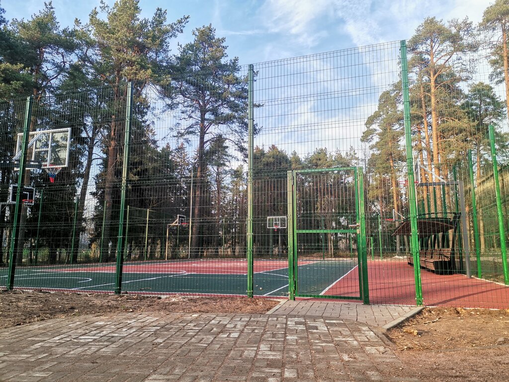 Spor alanı Баскетбольная площадка, Luga, foto
