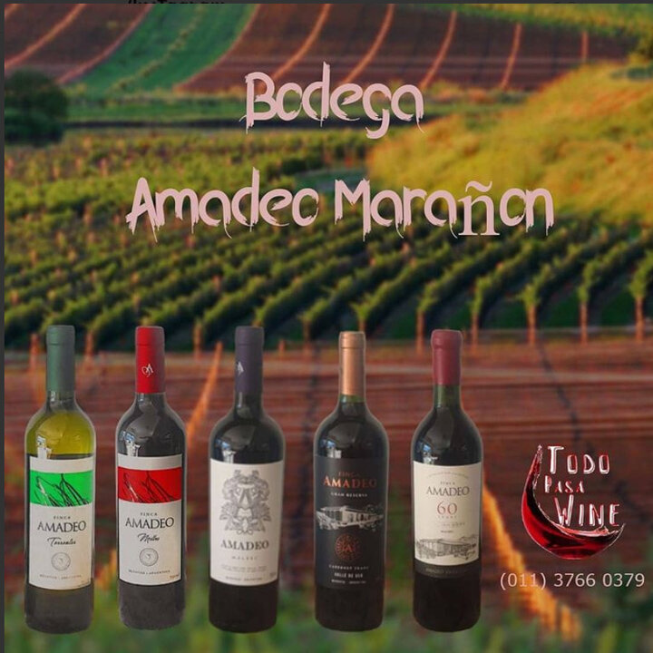 Şarap ve içki toptan satışları Todopasawine, Buenos Aires, foto