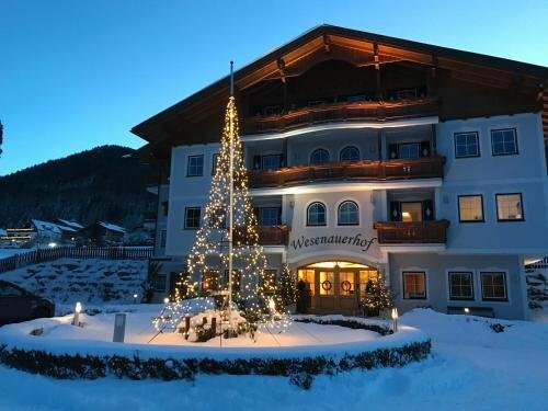 Otel Apart-Pension Wesenauerhof, Dünya, foto