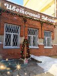 Цветочный дворик (Pionerskaya ulitsa No:61), çiçekçiler  Raychihinsk'ten