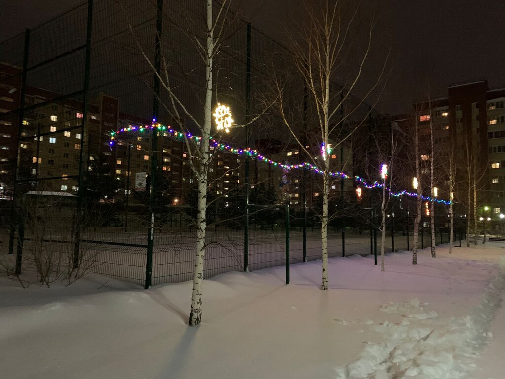 Spor alanı Футбольное поле, Novosibirsk, foto