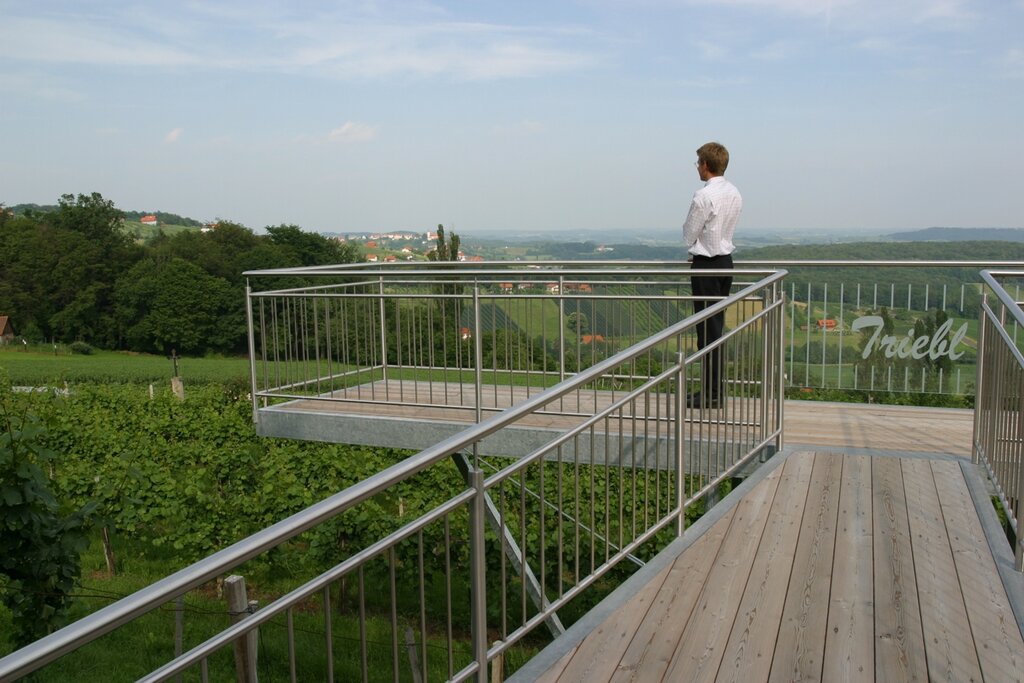 Şarap ve içki toptan satışları Weingut Triebl Franz, Steiermark, foto