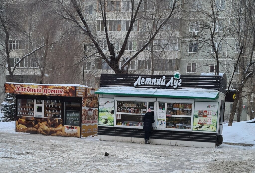 Market Летний Луг, Orenburg, foto