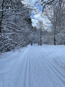 Ferma48-prokat (Lesnaya ulitsa No:17, selo Golovshchino), kiralama noktası  Lipetskaya oblastından