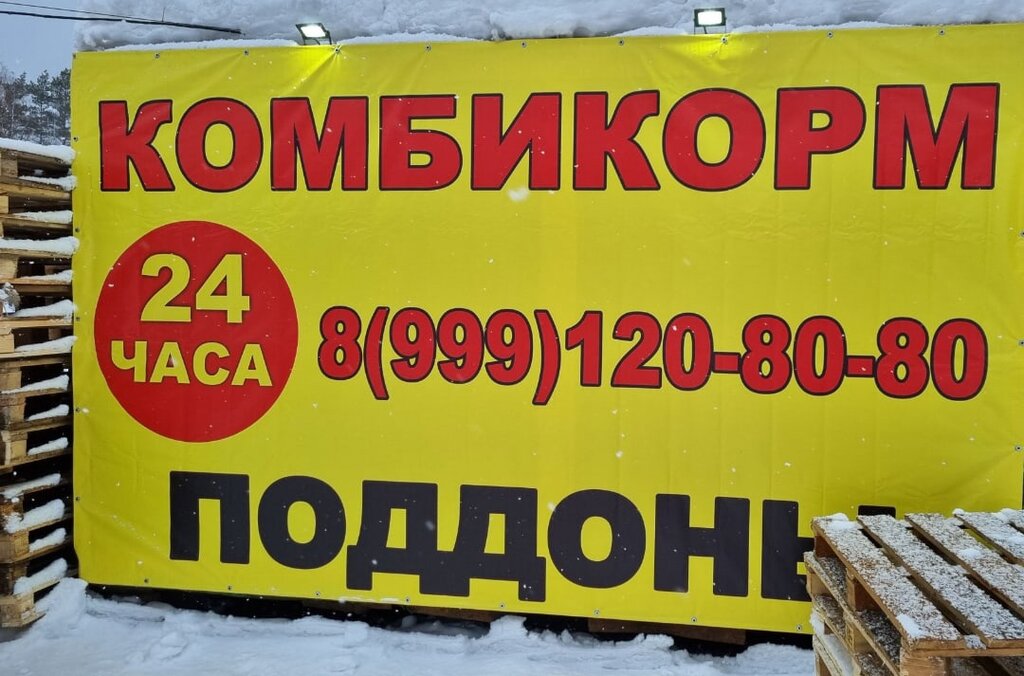 Geri dönüşüm maddeleri Приём Поддонов 24часа, Nijni Novgorod, foto