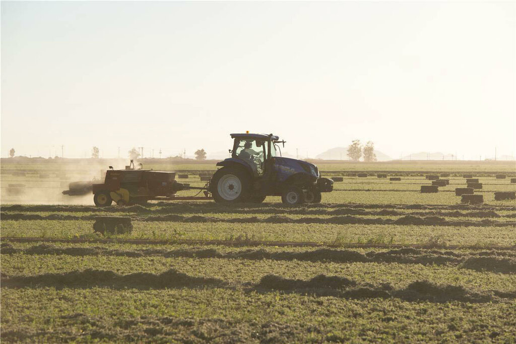 Tarım makineleri, ekipmanlar Parman Tractor & Equipment, Tennessee Eyaleti, foto