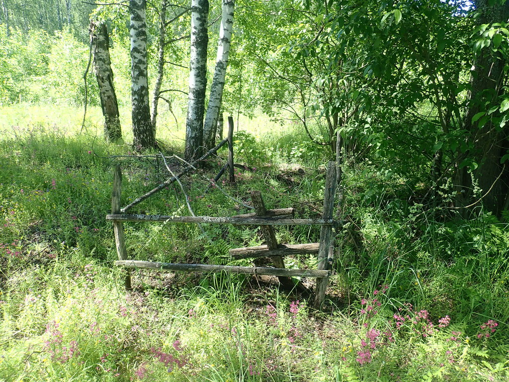 Mezarlıklar Ломковское кладбище, Vladimirskaya oblastı, foto