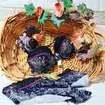P. F. Fashion (Via Gori No:9, Sarzana), giyim mağazası
